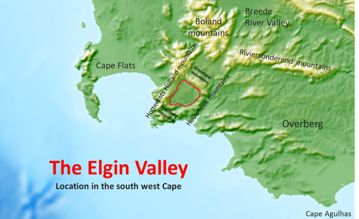 The Elgin Valley: Bees, Blossoms, and Chardonnay - TravelGround Blog