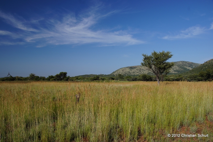 Suid-Afrika se streke in ’n neutedop - LekkeSlaap Blog